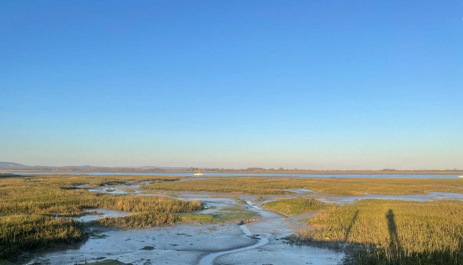 Super Saltmarsh - Our Homegrown Habitat Hero - Chichester Harbour ...