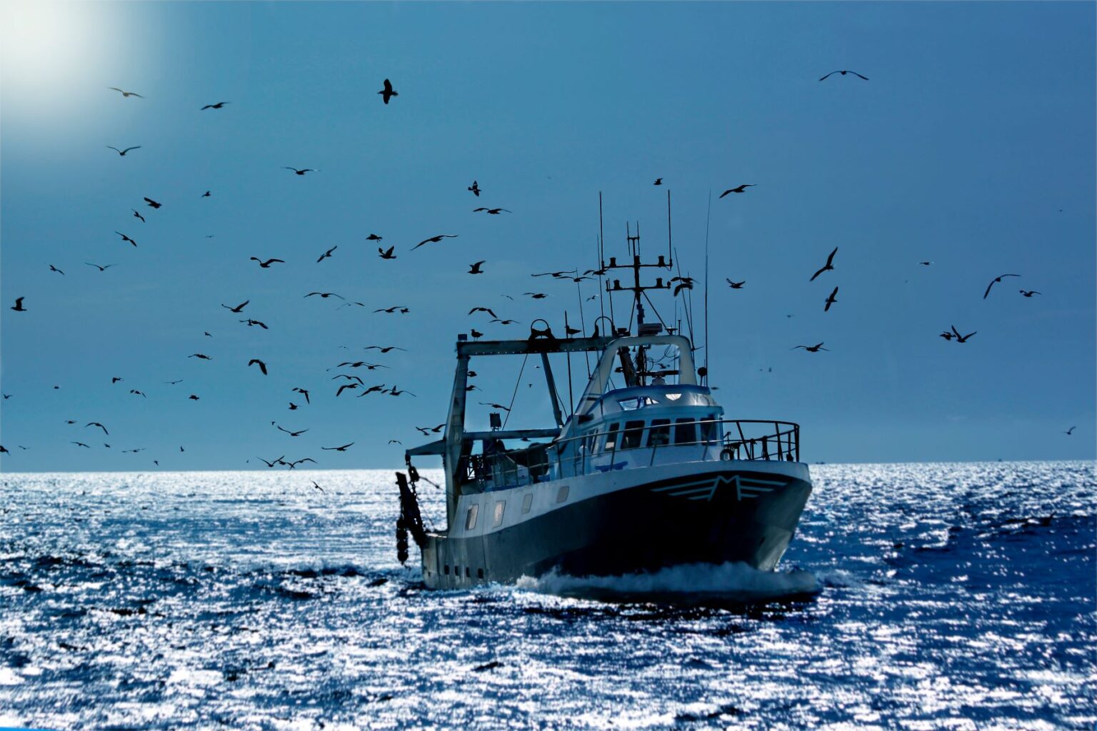 Angling & Commercial Fishing - Chichester Harbour Conservancy