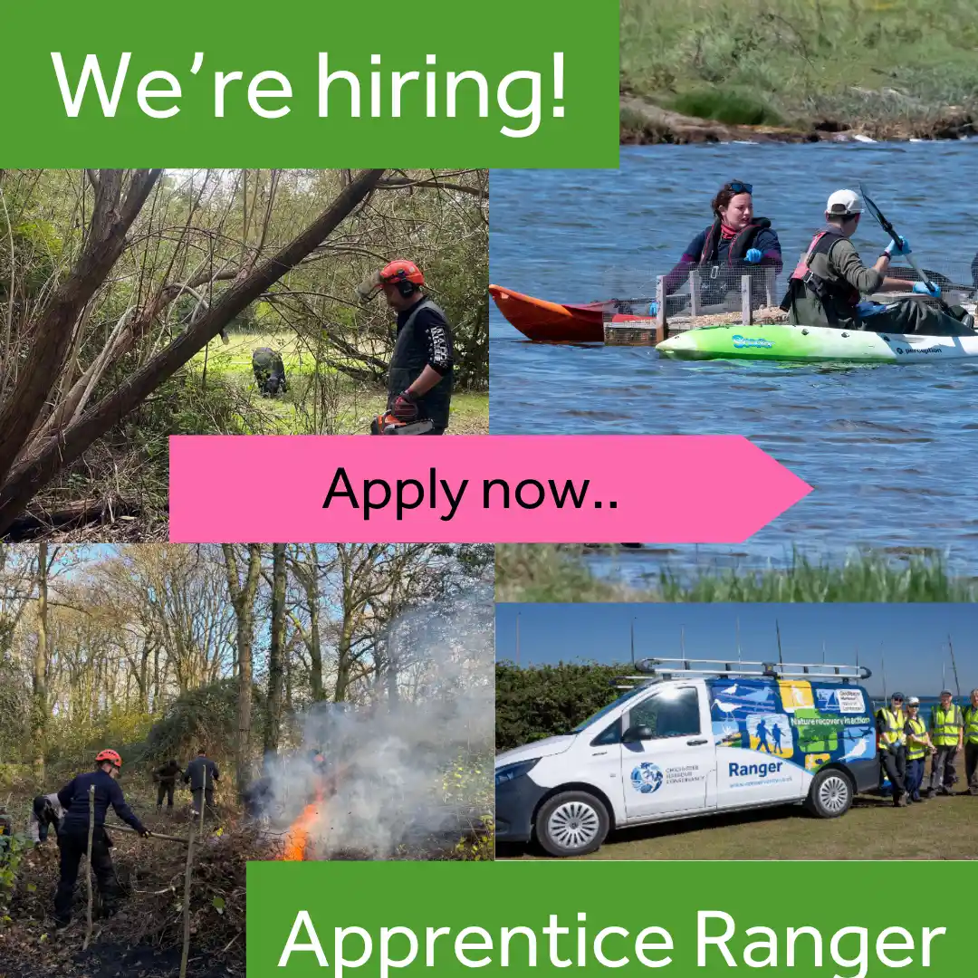 Apprentice Ranger - Chichester Harbour Conservancy