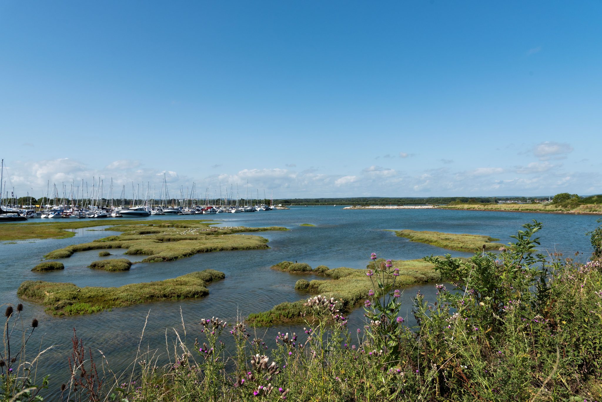 Home - Chichester Harbour Conservancy