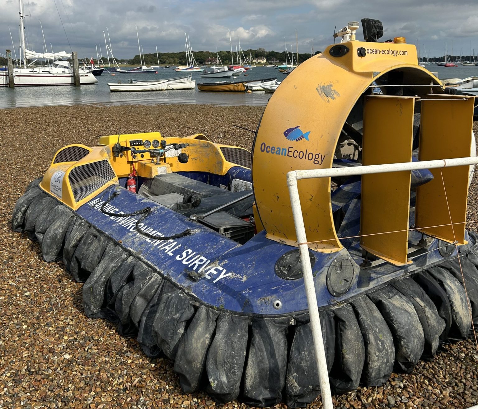Hovercraft maps seagrass in Chichester Harbour - Chichester Harbour ...