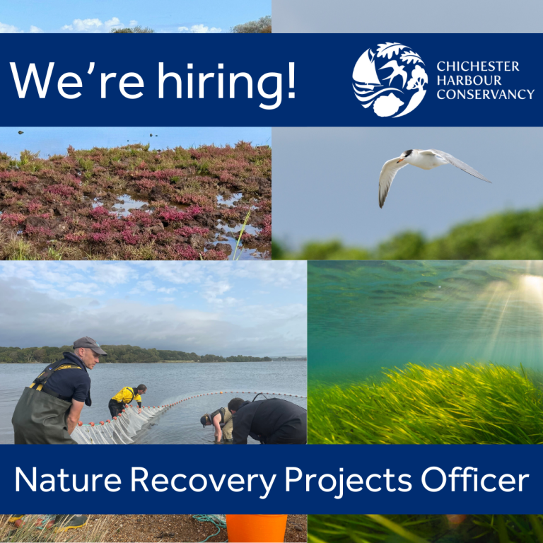 Nature Recovery Projects Officer - Chichester Harbour Conservancy