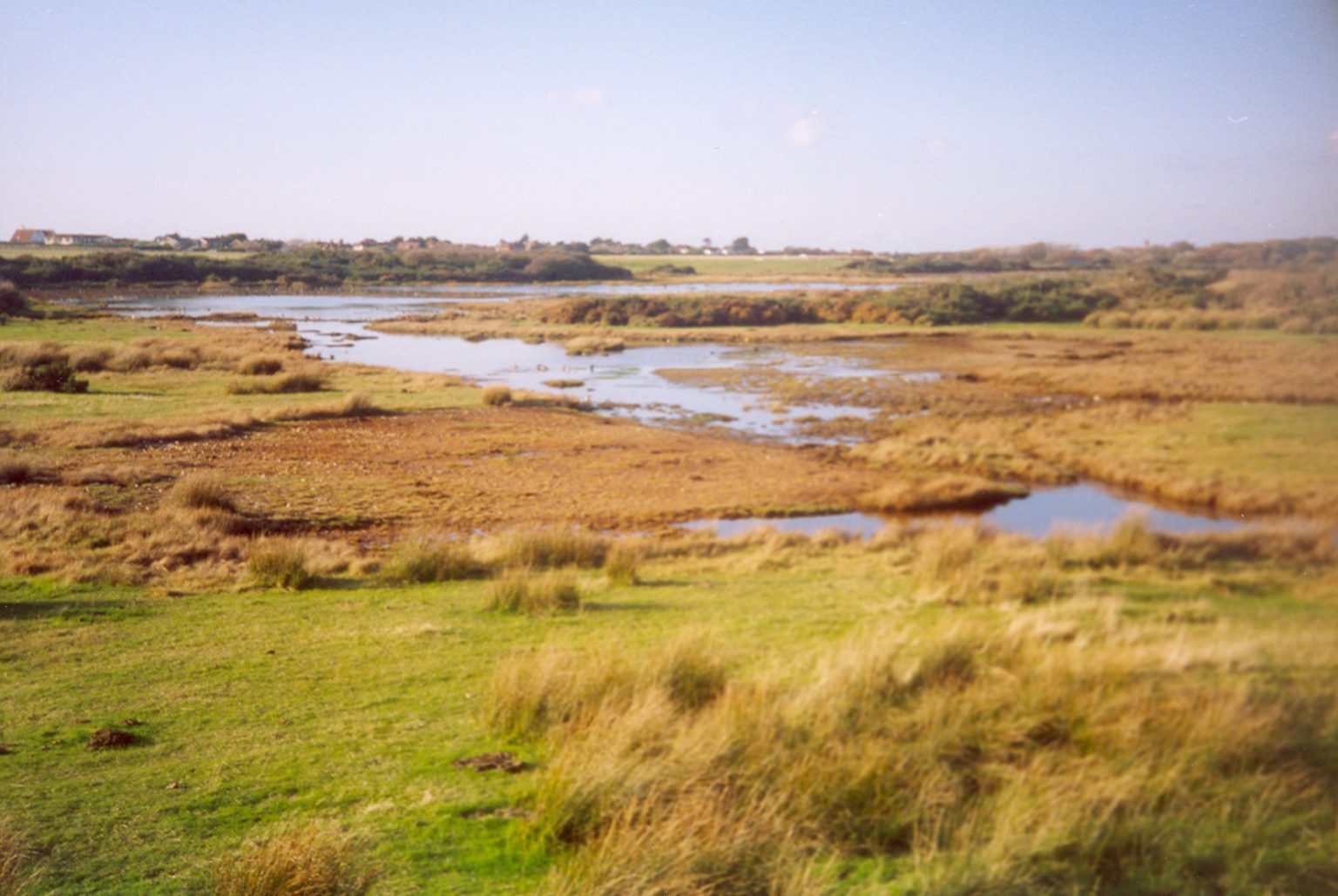 Coastal Grazing Marsh in Chichester Harbour - Chichester Harbour ...